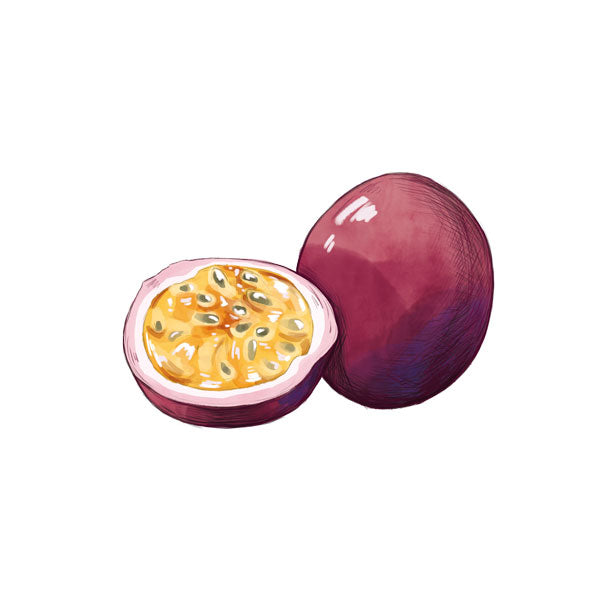 Passion Fruit Snack Rounds & Organic Goji – Wholeberry